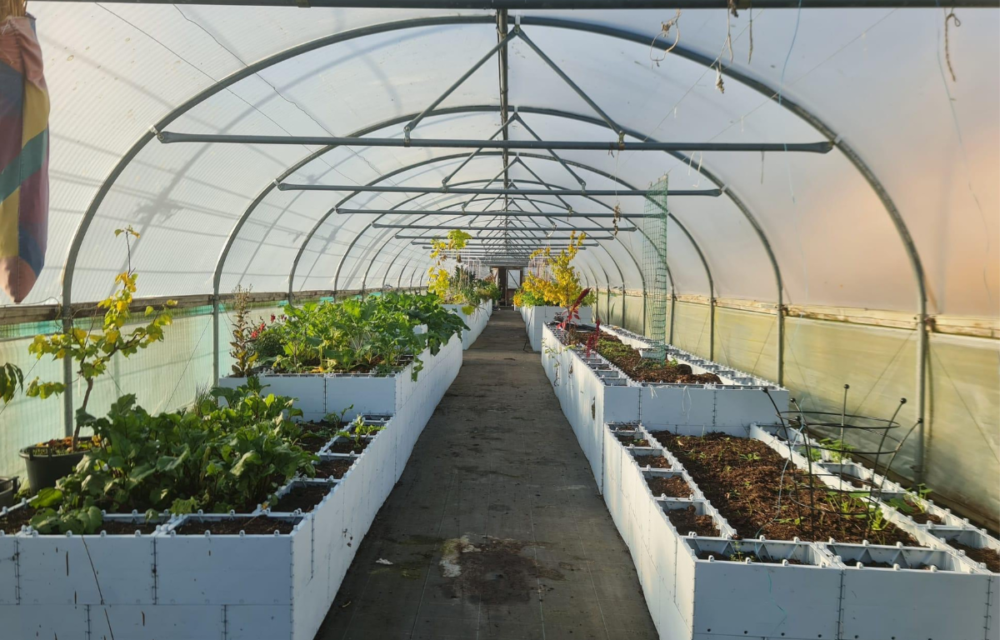 About our QUICKBLOCK® | Revolutionary building block system